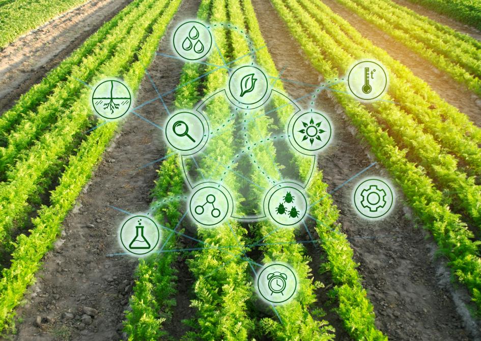 NBT: vers un accord pour la fin de l’année - Le Sillon Belge