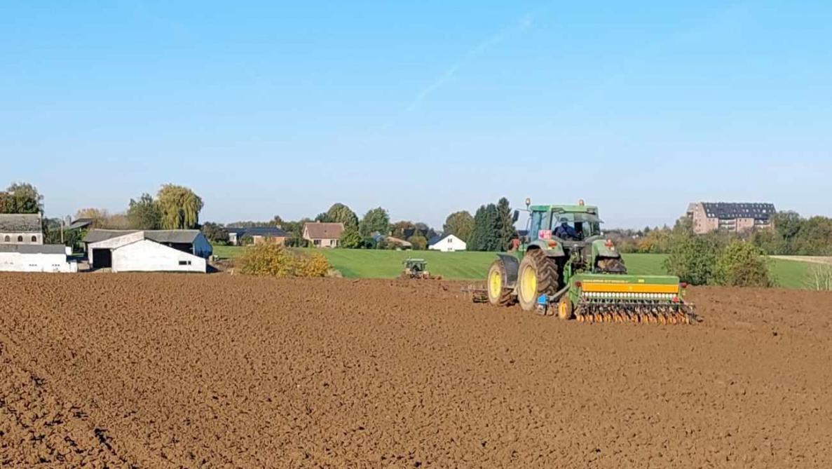 Froment d’hiver: déterminer la densité de semis adéquate - Le Sillon Belge