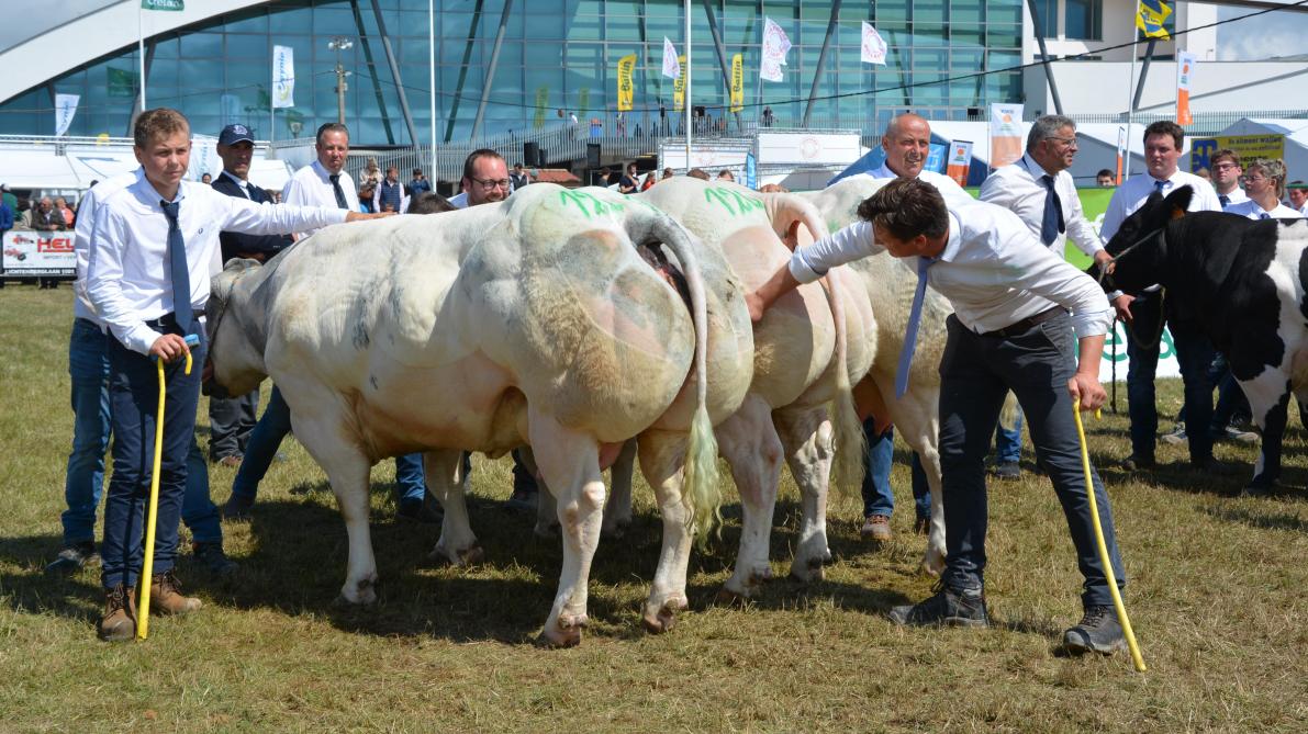 La Foire de Libramont, en pratique - Le Sillon Belge